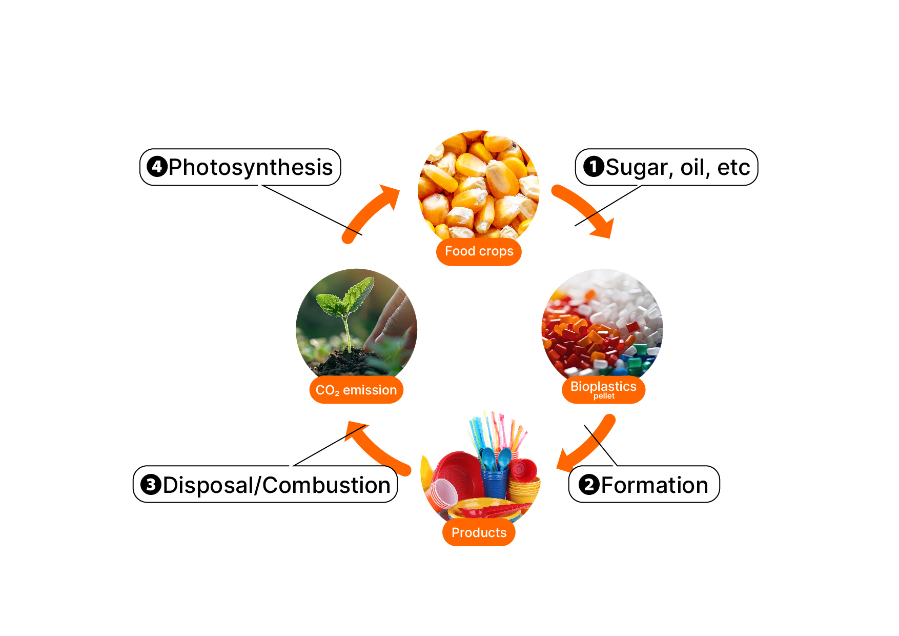 Green Chemicals: Taking on the Challenge of Creating Sustainable ...